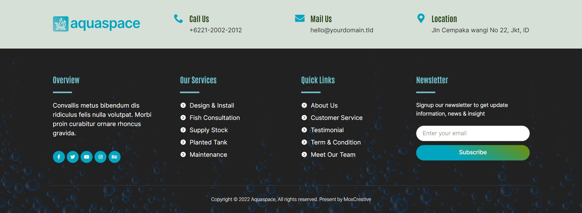 Aquaspace - Fish Aquarium & Aquascape Service Elementor Template Kit by ...