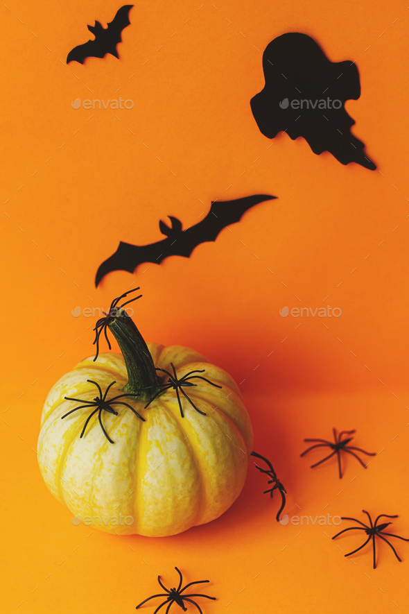 Halloween. Black spiders on pumpkin and ghosts, bats decorations on ...