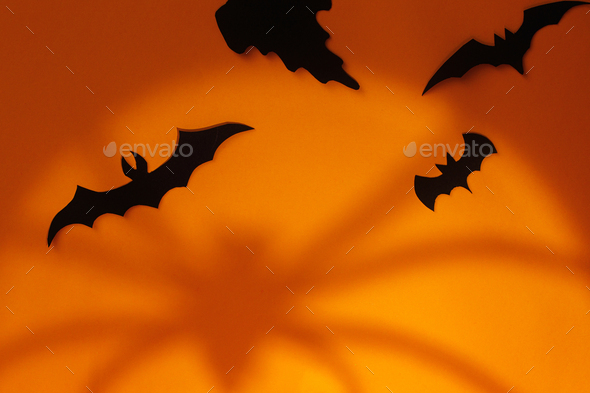 Spooky Halloween. Black ghosts and bats decorations with spider's ...