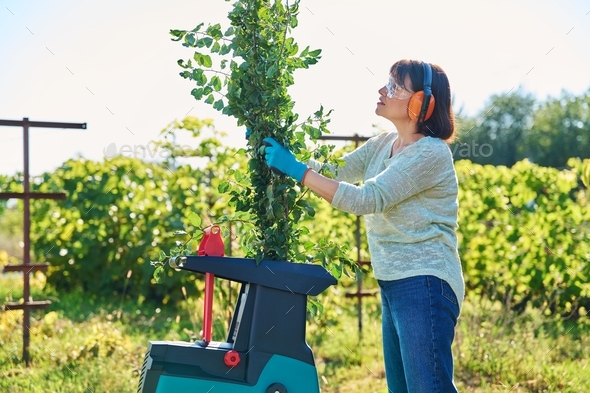 Woman using electric garden shredder for branches and bushes Stock ...