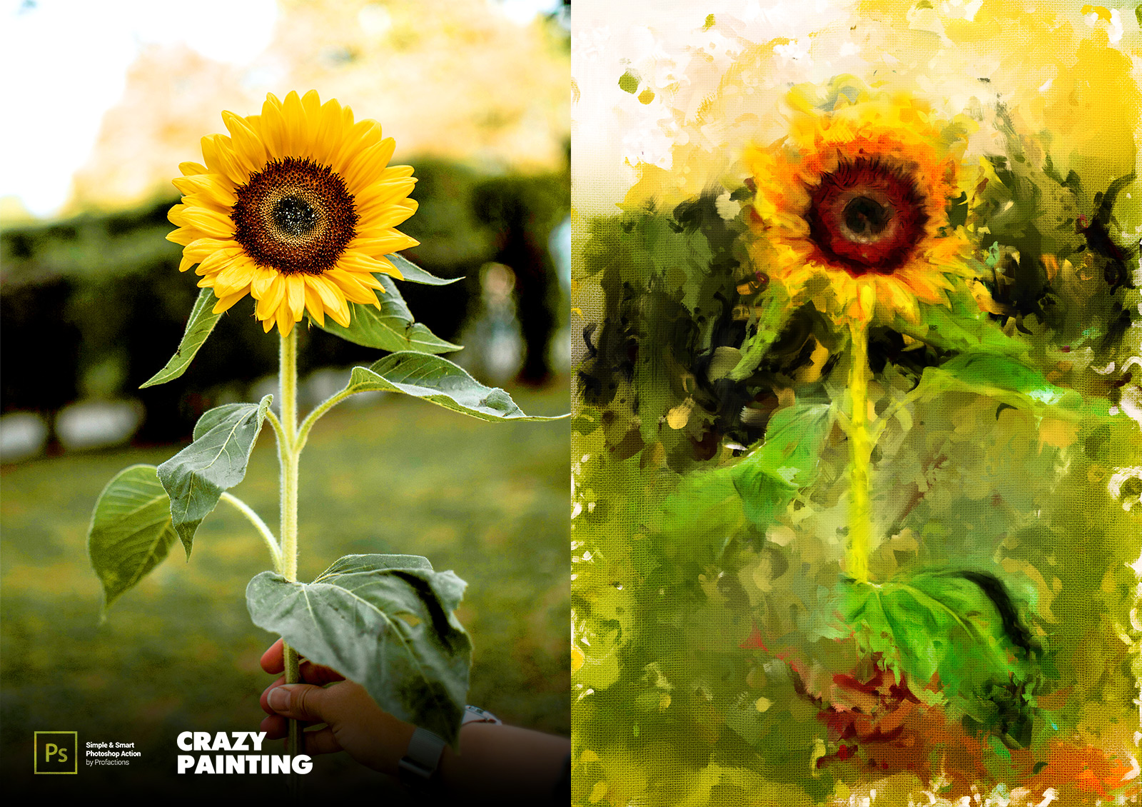 Crazy Painting Photoshop Plugin by profactions | GraphicRiver