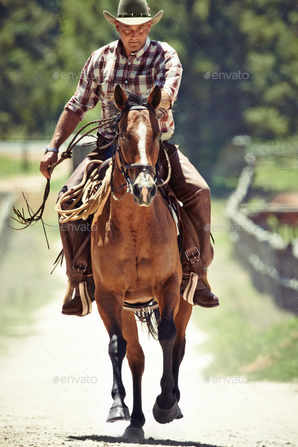Ride em cowboy. Shot of a cowboy riding a horse. Stock Photo by ...
