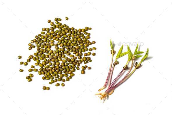 Close-up of mash microgreens and seeds isolated on white background ...