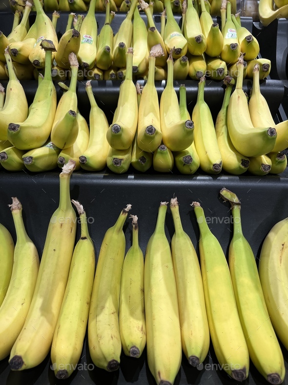 rows of bananas Stock Photo by bethanyellis28 | PhotoDune
