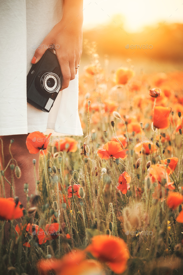 Vintage camera in woman hand on poppy field Stock Photo by linux87