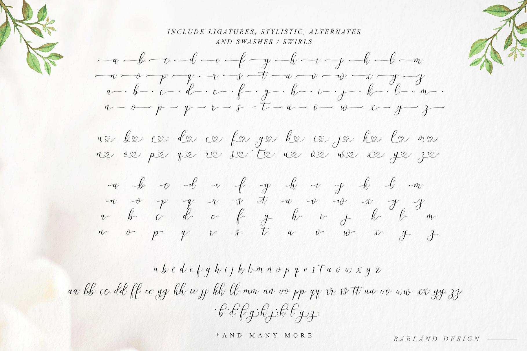 Hey Lady Script, Fonts | GraphicRiver