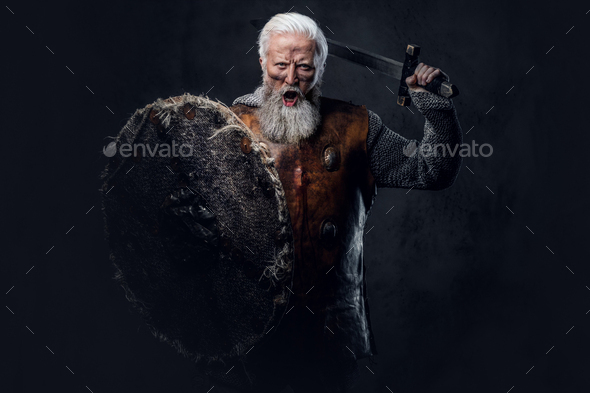 Screaming elderly warrior with shield and sword dressed in armor Stock ...