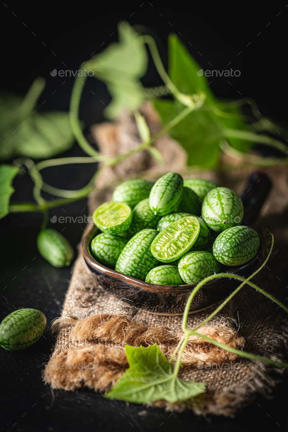 Cucamelon, Melothria scabra Stock Photo by ipolly80 | PhotoDune
