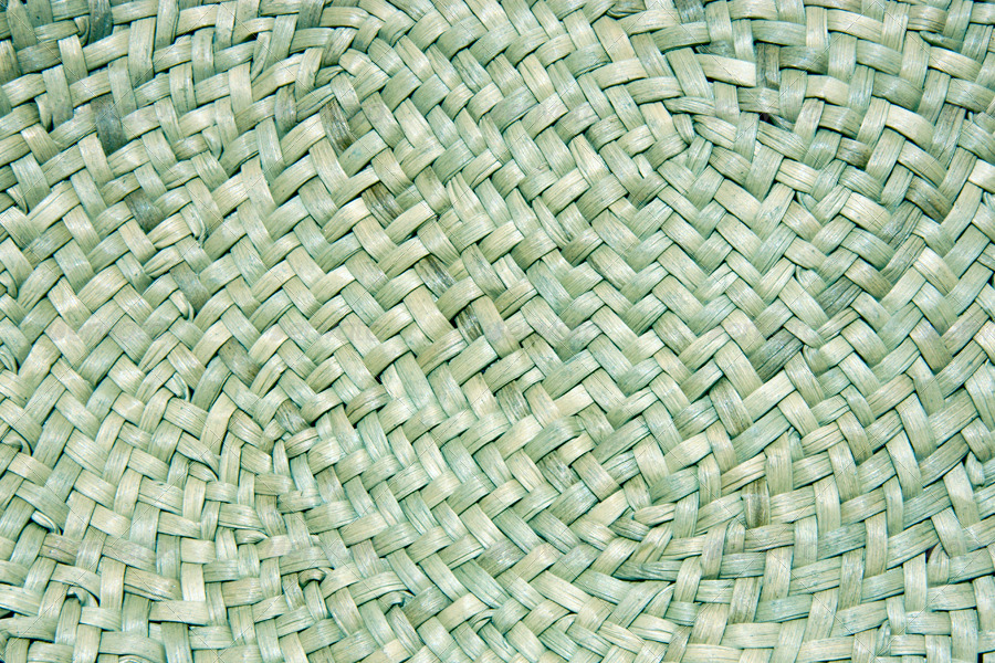 Reed Leaf by explorich | GraphicRiver