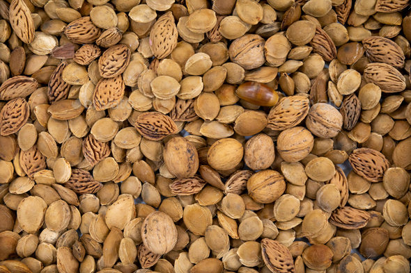 Dried pits and nuts texture background Stock Photo by collab_media