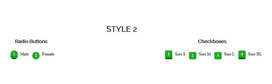 Html Css Radio And Checkbox Template By Smartcms Codecanyon