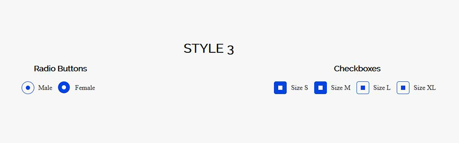 HTML CSS Radio and Checkbox Template by smartcms | CodeCanyon