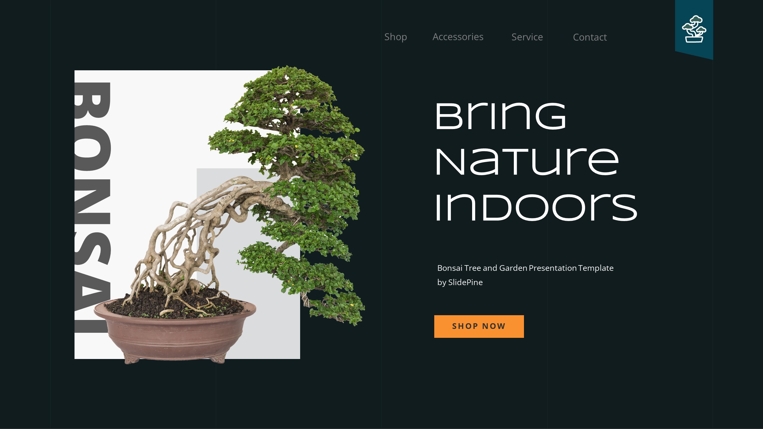 Bonsai Tree & Garden Powerpoint Template, Presentation Templates ...