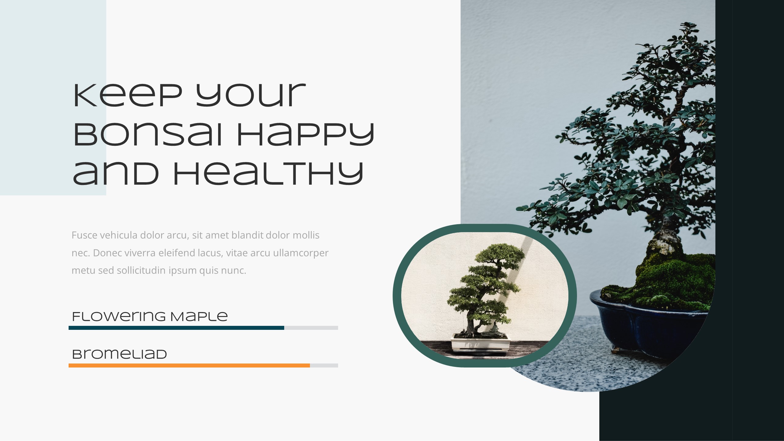 Bonsai Tree & Garden Powerpoint Template, Presentation Templates ...