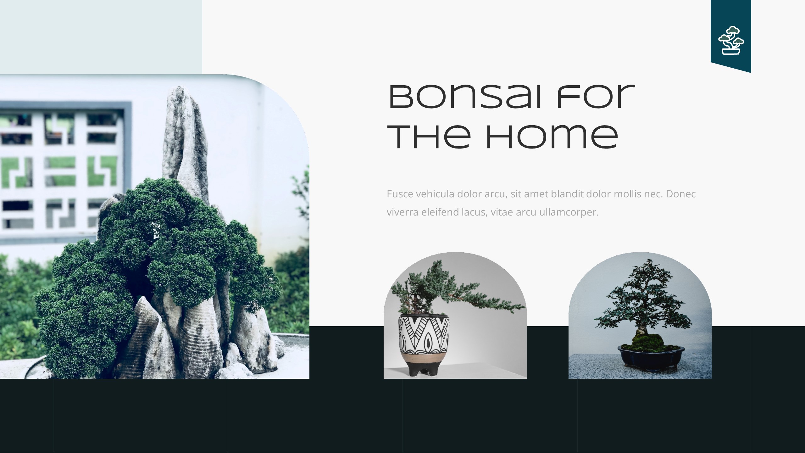 Bonsai Tree & Garden Powerpoint Template, Presentation Templates ...