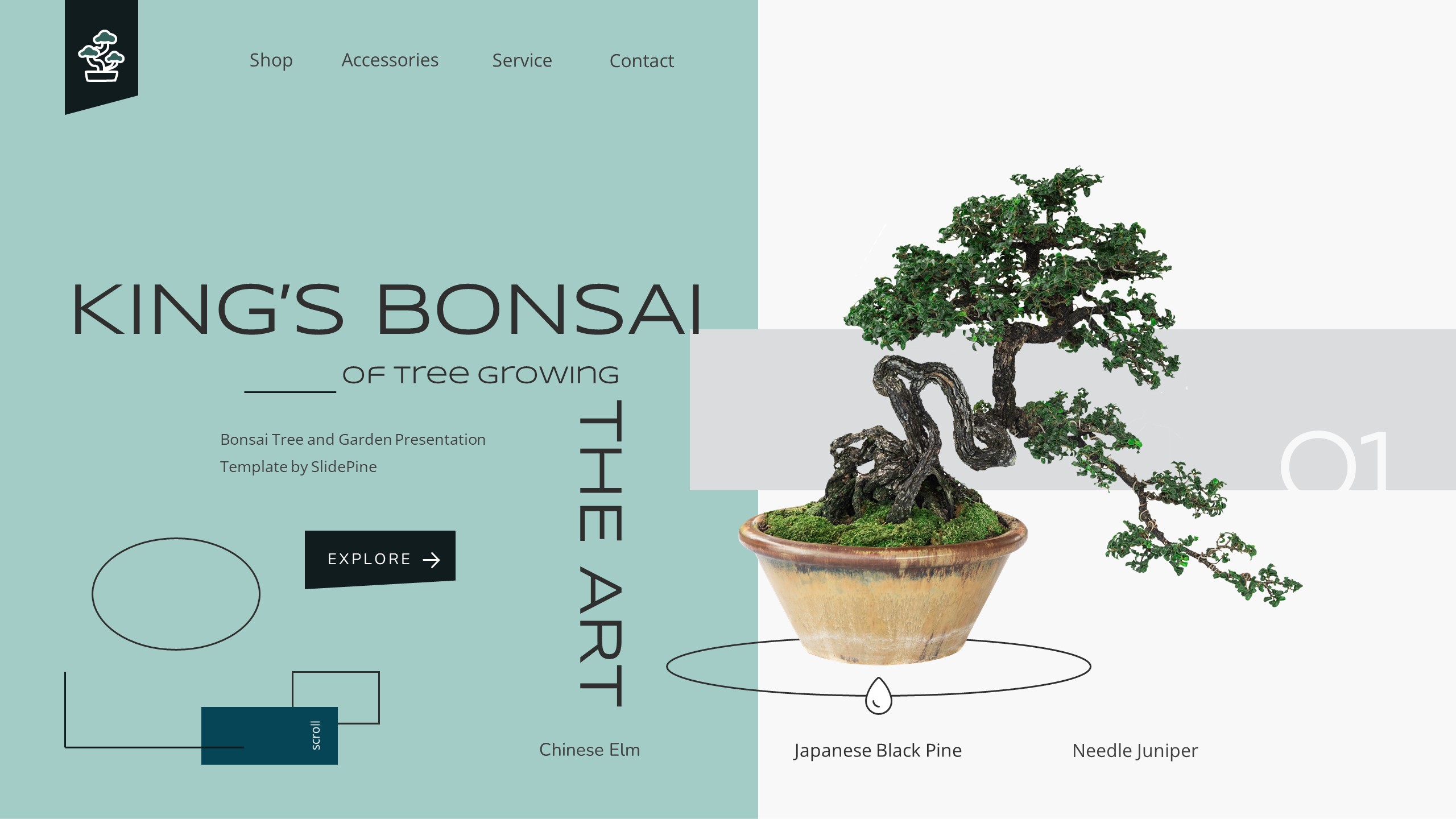 Bonsai Tree & Garden Keynote Template, Presentation Templates ...