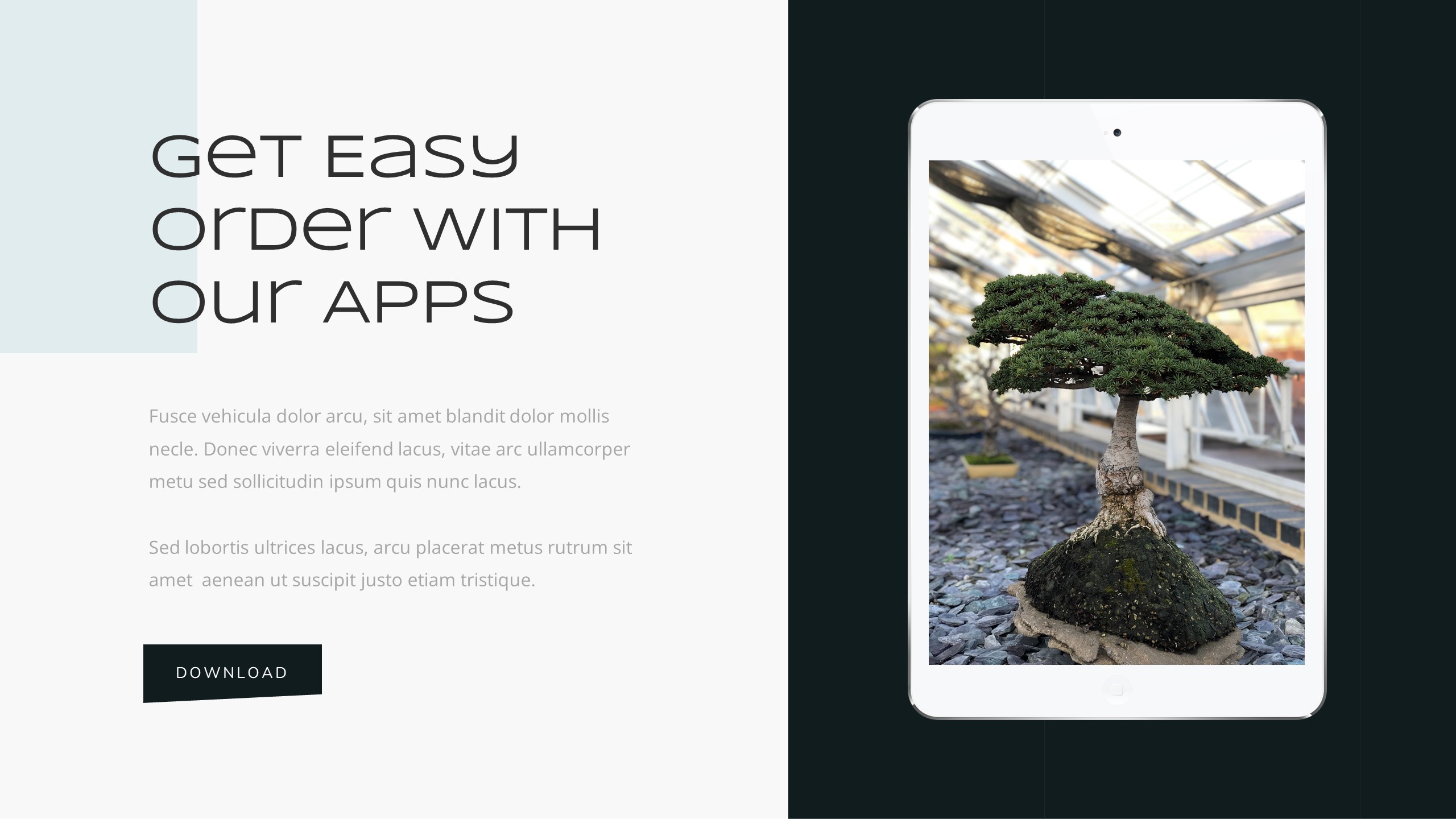 Bonsai Tree & Garden Keynote Template, Presentation Templates ...