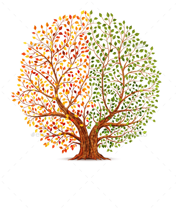 Half Yellow Half Green Realistic Tree, Vectors | GraphicRiver