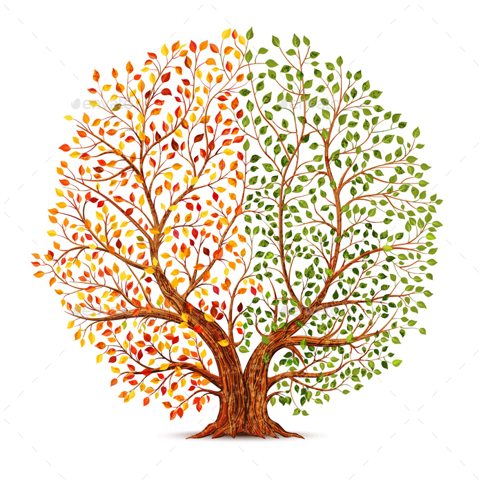 Half Yellow Half Green Realistic Tree, Vectors | GraphicRiver