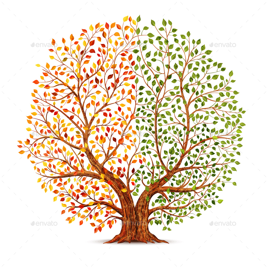 Half Yellow Half Green Realistic Tree, Vectors | GraphicRiver