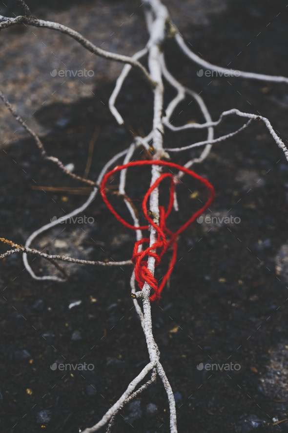 Red thread tangled in a dry branch Stock Photo by nanihta | PhotoDune