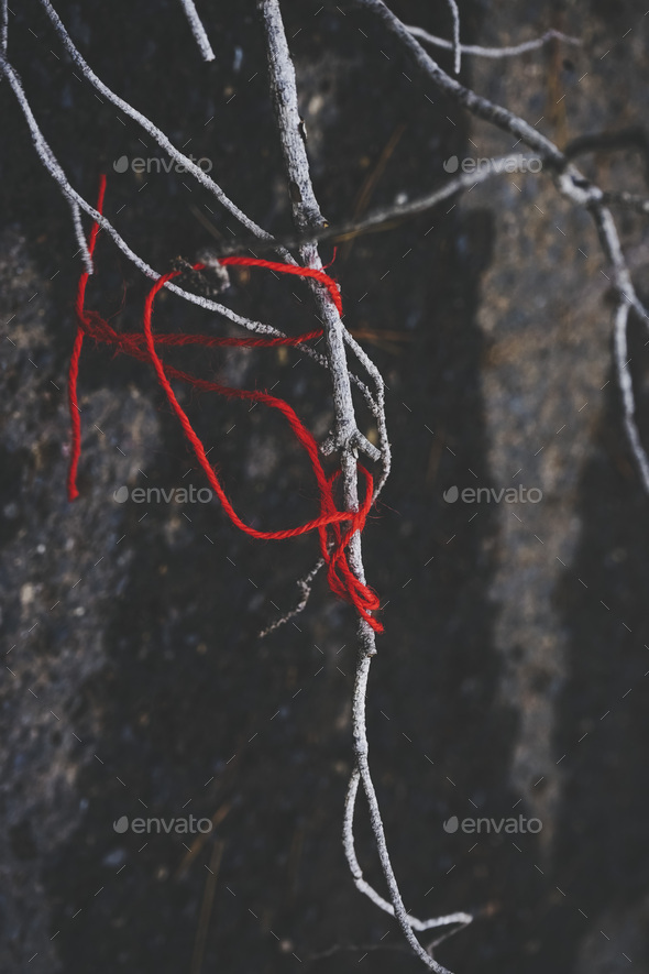 Red thread tangled in a dry branch Stock Photo by nanihta | PhotoDune