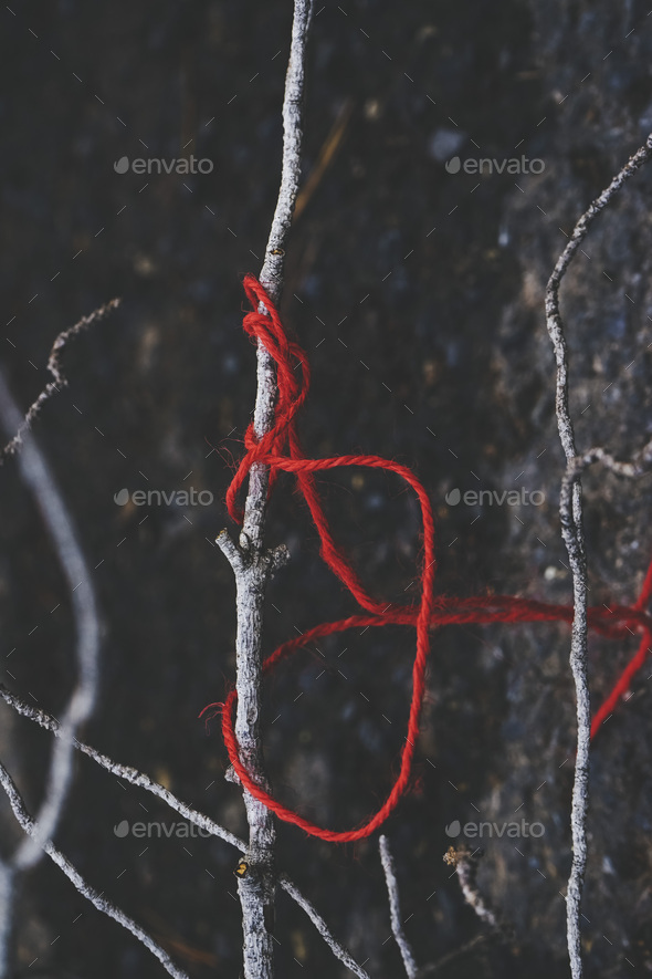 Red thread tangled in a dry branch Stock Photo by nanihta | PhotoDune