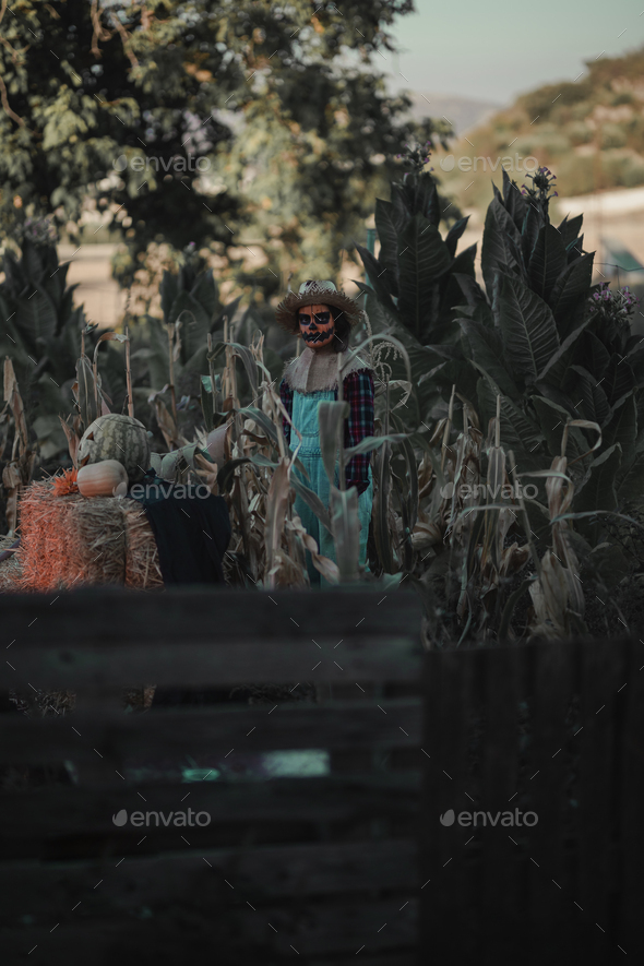 Spooky halloween photo with shadow scarecrow Stock Photo by inesperadacobos