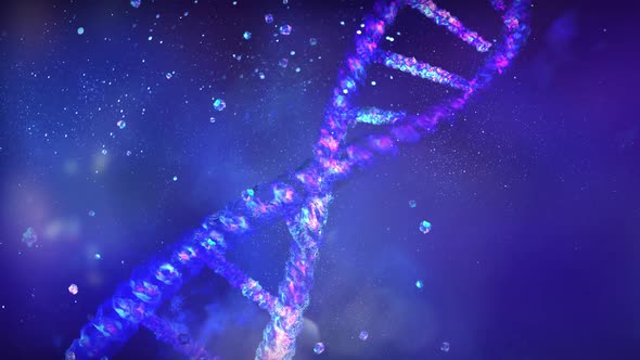 Animation Of A Collapsing DNA Strand HD, Motion Graphics | VideoHive