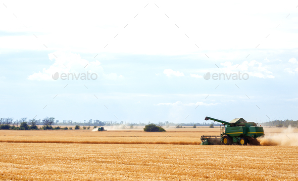 Time to harvest! Beautiful view of the work of the combine harvesting ...