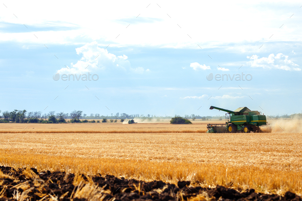 Time to harvest! Beautiful view of the work of the combine harvesting ...