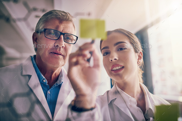Shot of two focused scientists working together solving equations on a ...