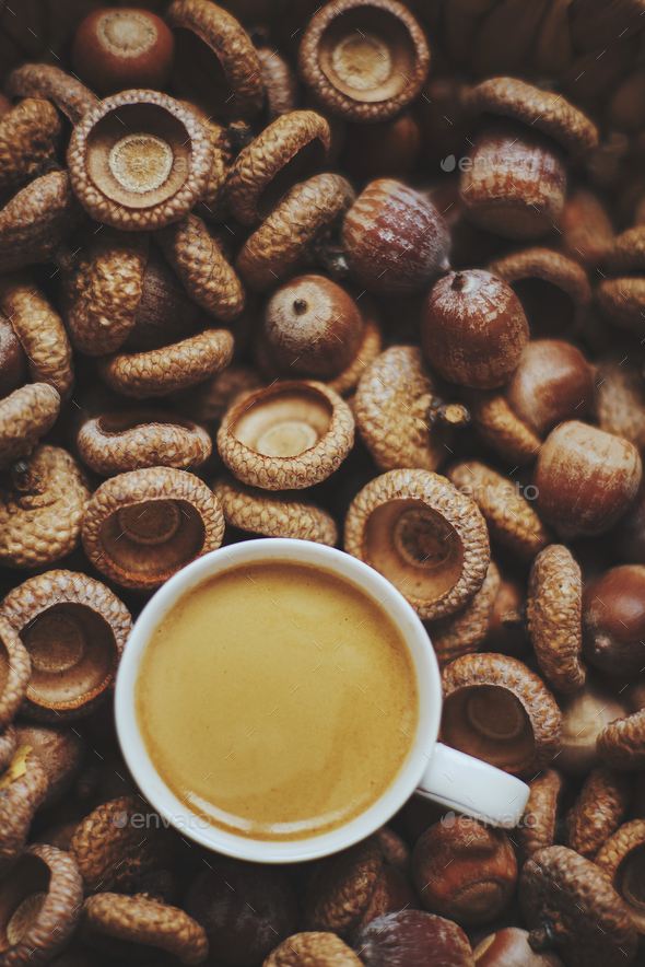 Acorn coffee from roasted acorns Stock Photo by serenkonata | PhotoDune