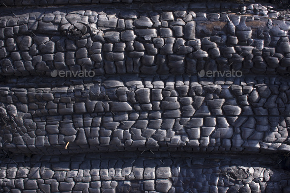 Natural fire ashes with dark grey black coals texture. It is a ...