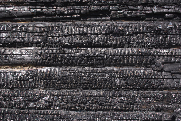 Natural fire ashes with dark grey black coals texture. It is a ...