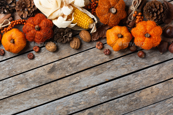 Autumn fall thanksgiving day composition with decorative pumpkins Stock ...