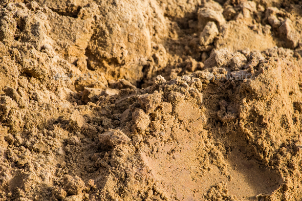 Texture of yellow building sand close up. Stock Photo by Statuska ...