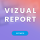 VizualReport - Data Visualization Report Keynote, Presentation Templates