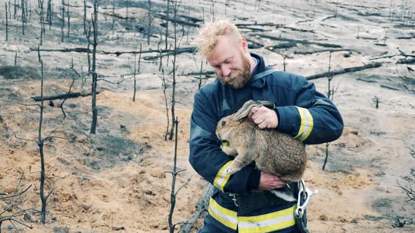 Fireman is Stroking a Rescued Wild Rabbit, Stock Footage | VideoHive