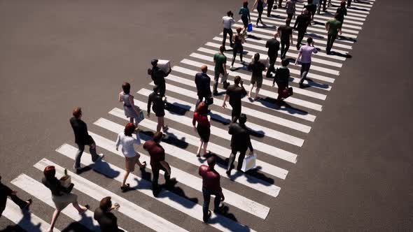 Pedestrian Crossing Street Top View Background, Motion Graphics | VideoHive