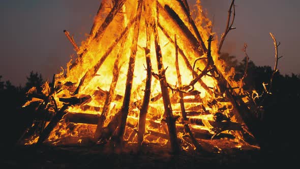 Big Campfire of the Branches Burn at Night in the Forest. Slow Motion ...