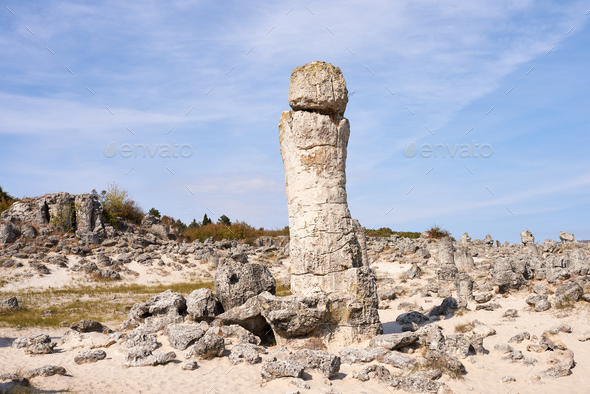 Pobiti Kamani, The Stone Forest Natural Reserve near Varna in Bulgaria ...
