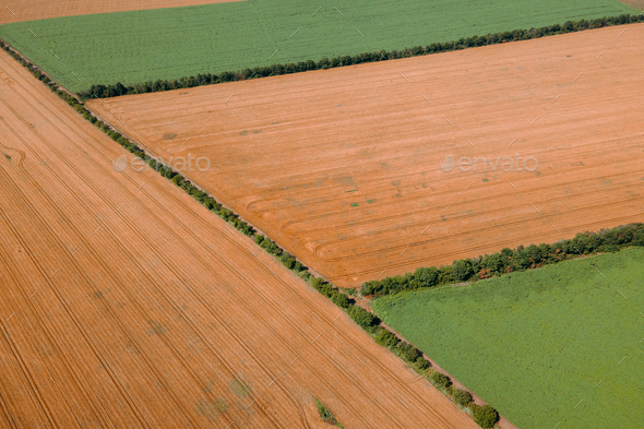 aerial view of agricultural lands with multiple crops Stock Photo by ...