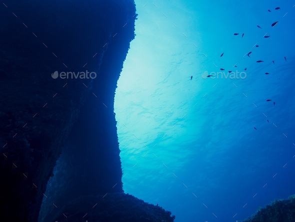 underwater background with small fish and rocks Stock Photo by Raul_Mellado