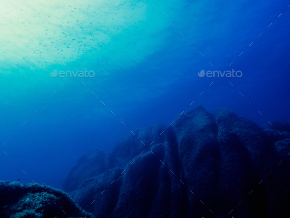 underwater background with a rocky sea bottom Stock Photo by Raul_Mellado