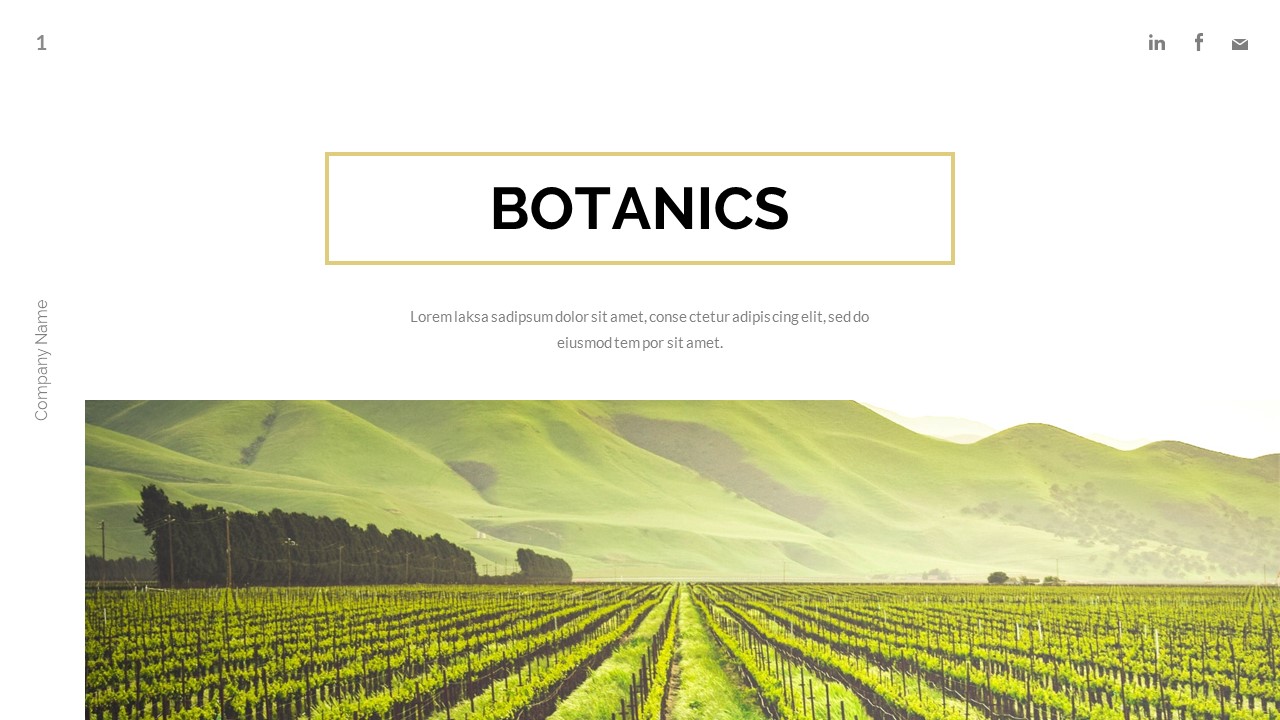BOTANICS - Organic Agriculture Farm Presentation Google Slides Template ...