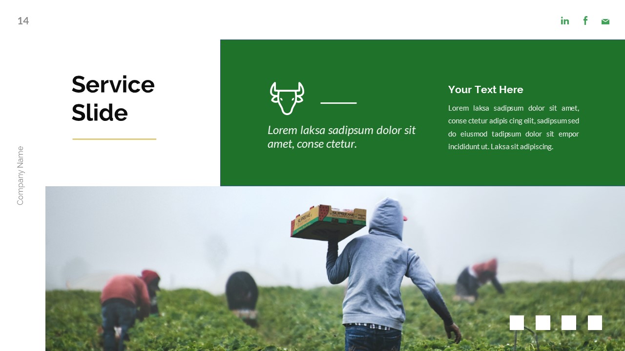 BOTANICS - Organic Agriculture Farm Presentation Google Slides Template ...