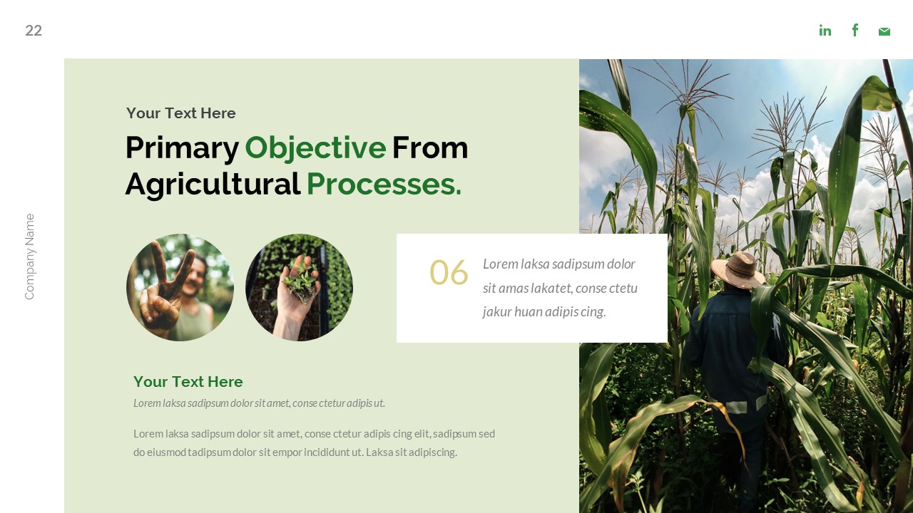 BOTANICS - Organic Agriculture Farm Presentation Google Slides Template ...