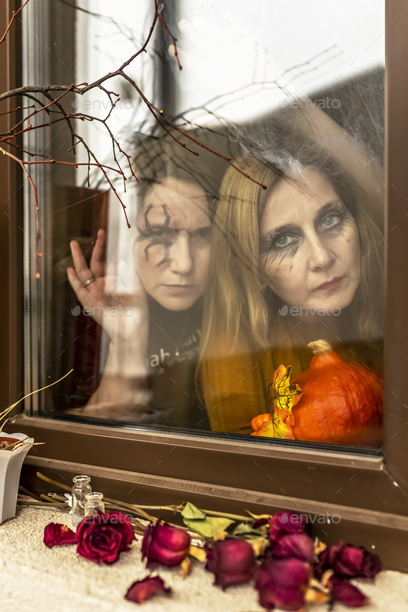 Two witches look through of the window of Halloween decorations ...