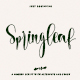 springleaf, Fonts | GraphicRiver
